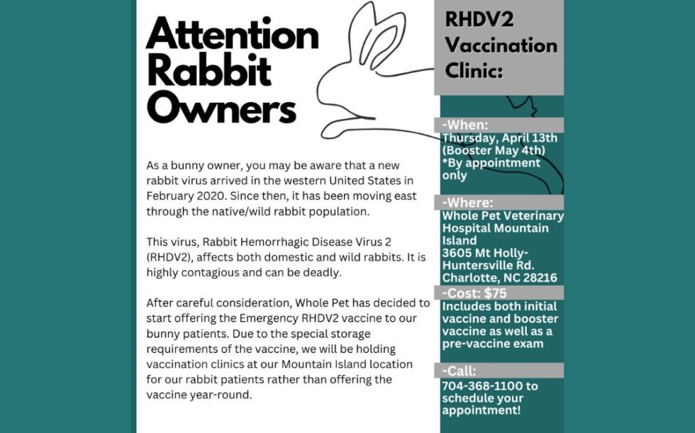 Rabbit Hemorrhagic Disease Virus 2 - Whole Pet Veterinary Hospital ...